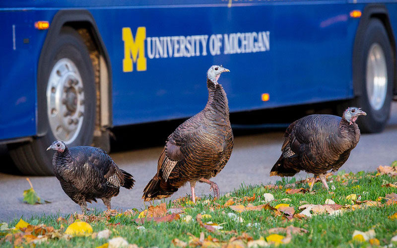 Home Page - Facilities and Operations